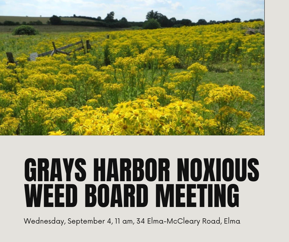 Noxious Weed Board Meeting | Grays Harbor County | Washington State ...