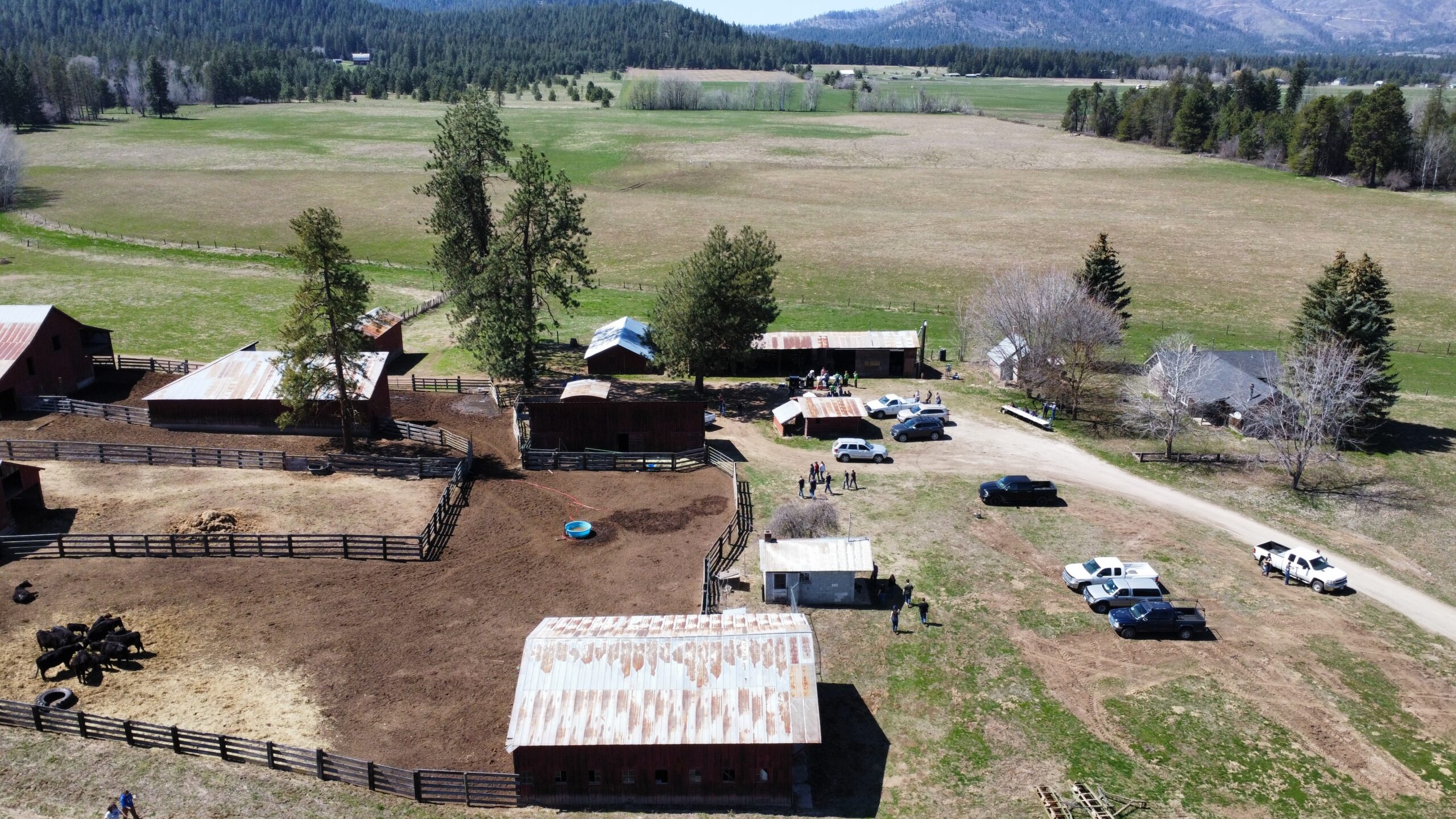 WSU Vetter Demonstration Farm and Forest | Stevens County | Washington ...