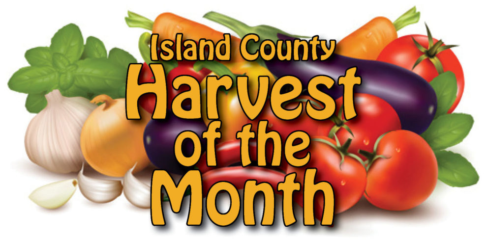 SNAP-Ed | WSU Extension, Island County | Washington State University