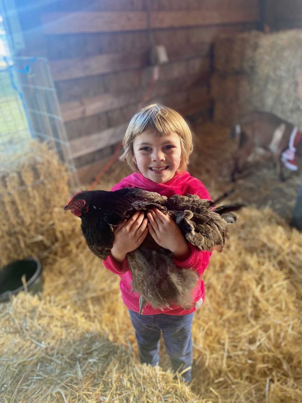 4-H Youth Development | WSU Extension, Island County | Washington State ...