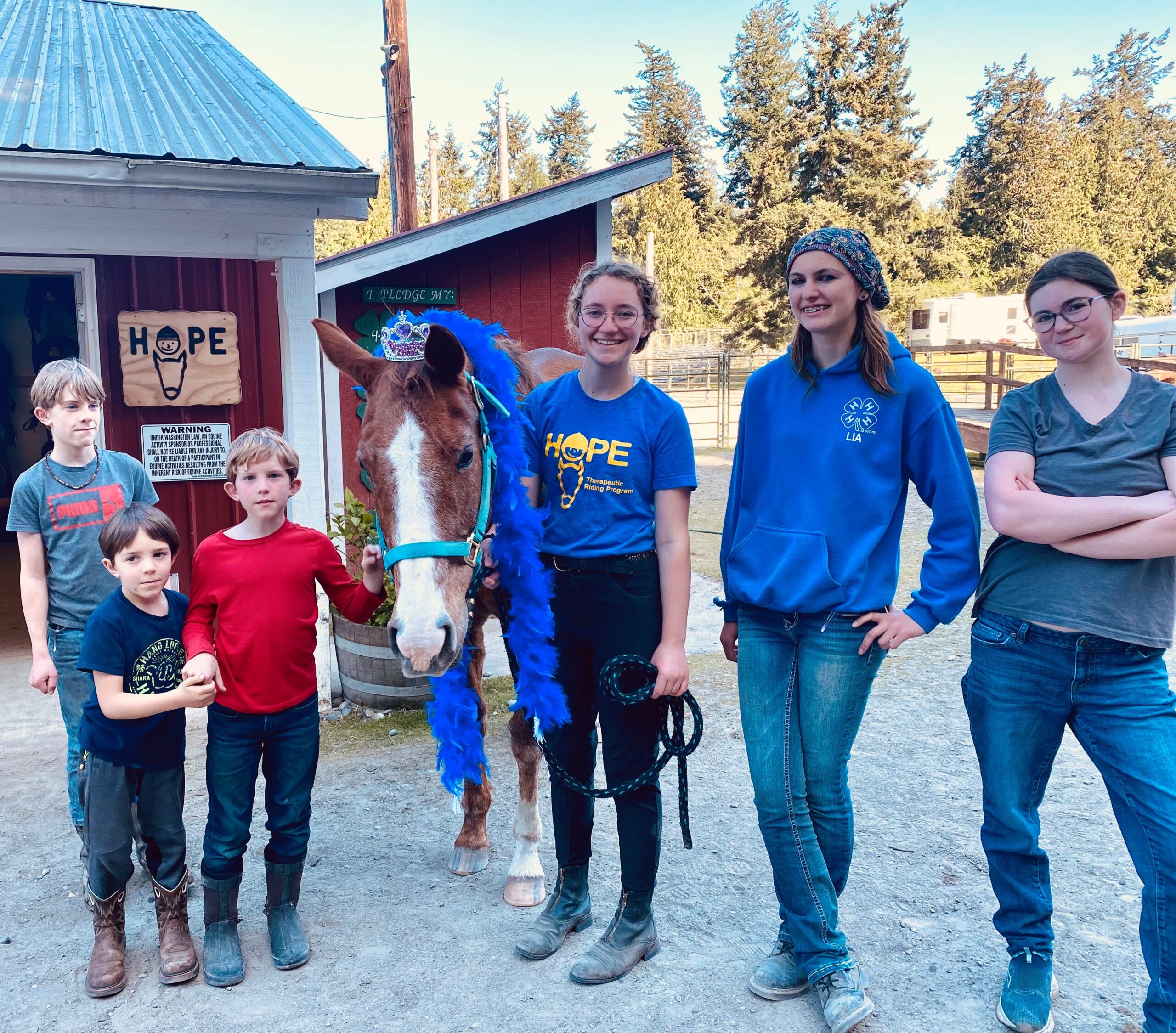 4-H Record Books | WSU Extension, Island County | Washington State ...