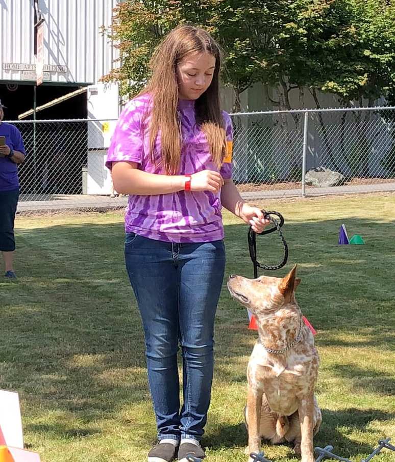 4-H Dog Projects | Clallam County | Washington State University