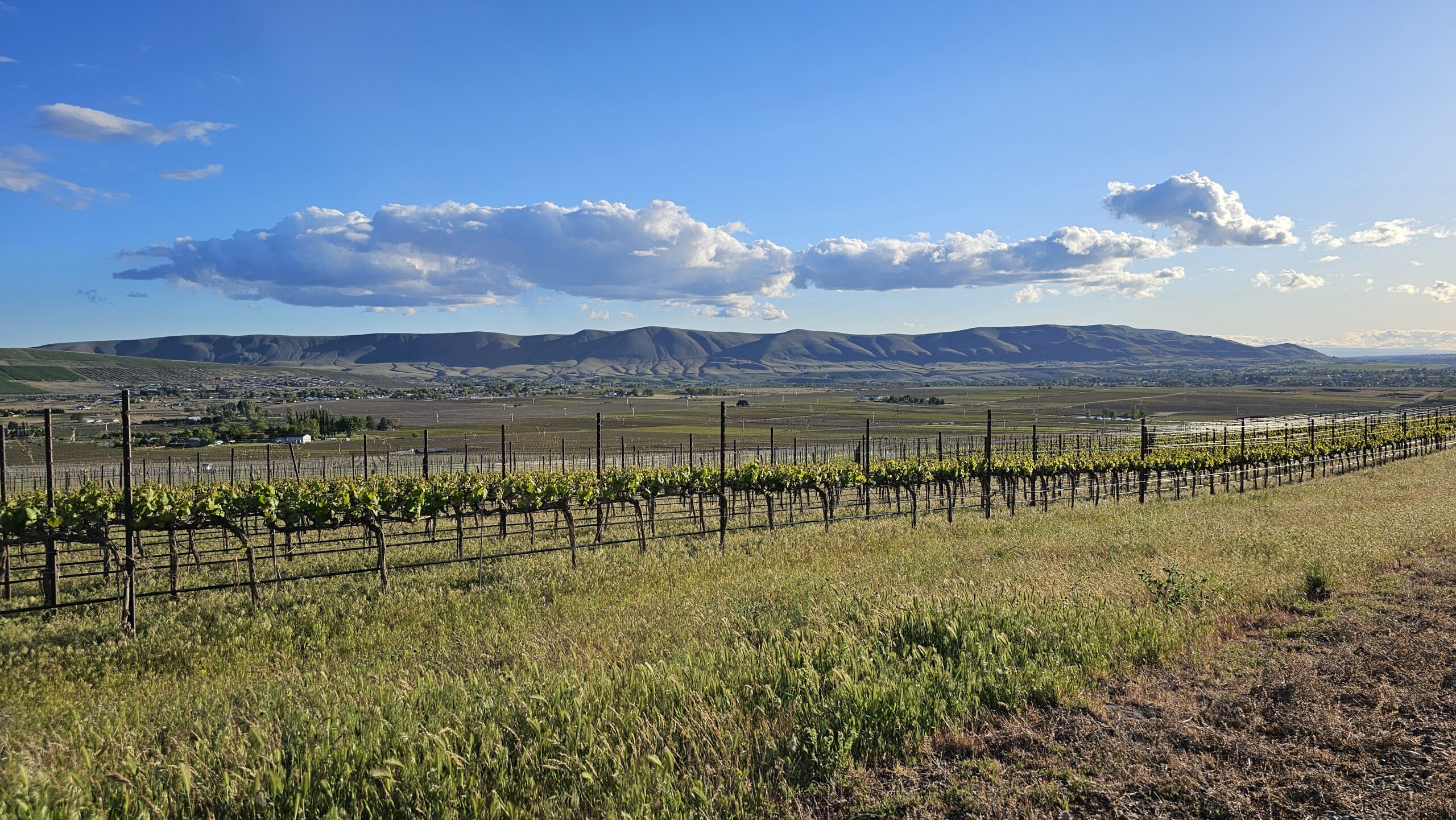 Benton & Franklin Counties | Washington State University