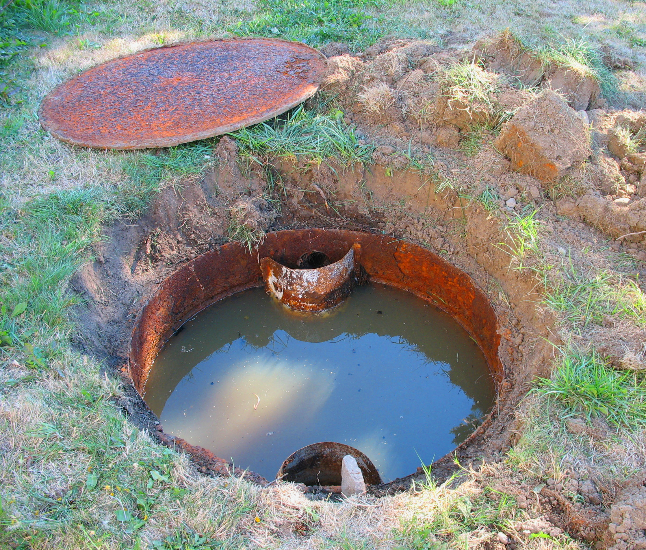 Shore Stewards | Skagit County | Washington State University