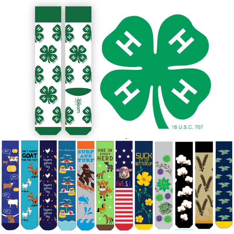 Kitsap County | Washington State University