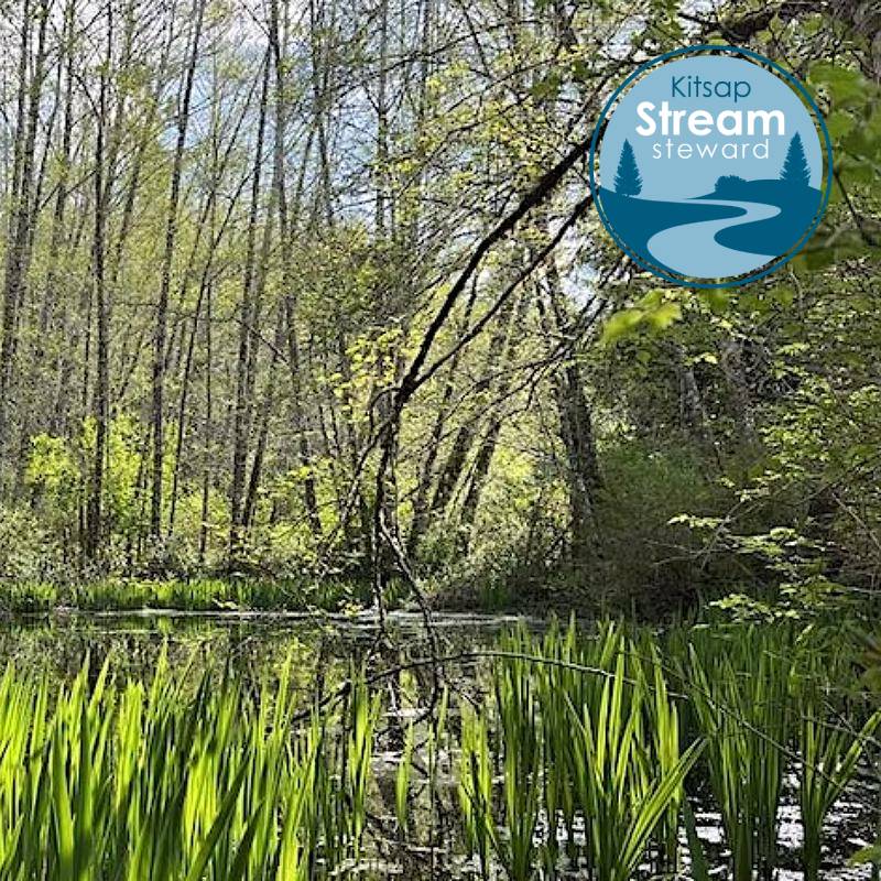 Kitsap County Kitsap Water Stewardship Programs Update - 2024 Stream ...