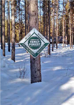 family forest | Spokane County | Washington State University