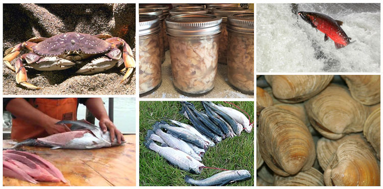 How to Preserve Fish and Seafood | Clark County | Washington State ...