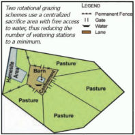Pasture Grazing Management | Clark County | Washington State University