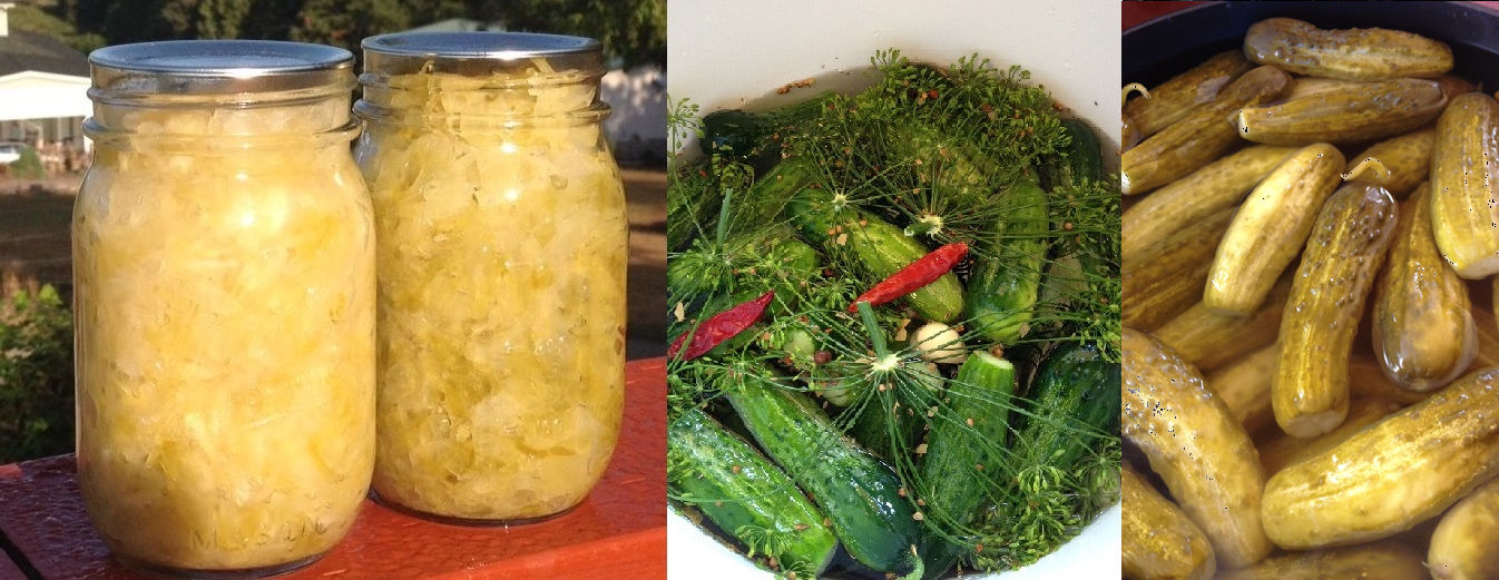 Fermenting Vegetables – “You Can” Food Preservation Webinar | Clark ...