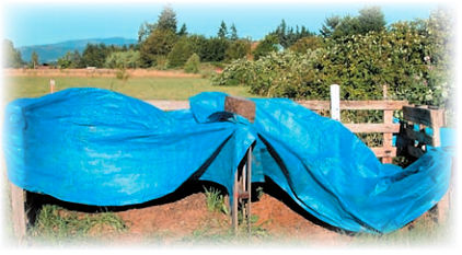 Composting Manure on Your Property | Clark County | Washington State ...