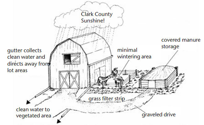 Managing Roof Runoff | Clark County | Washington State University
