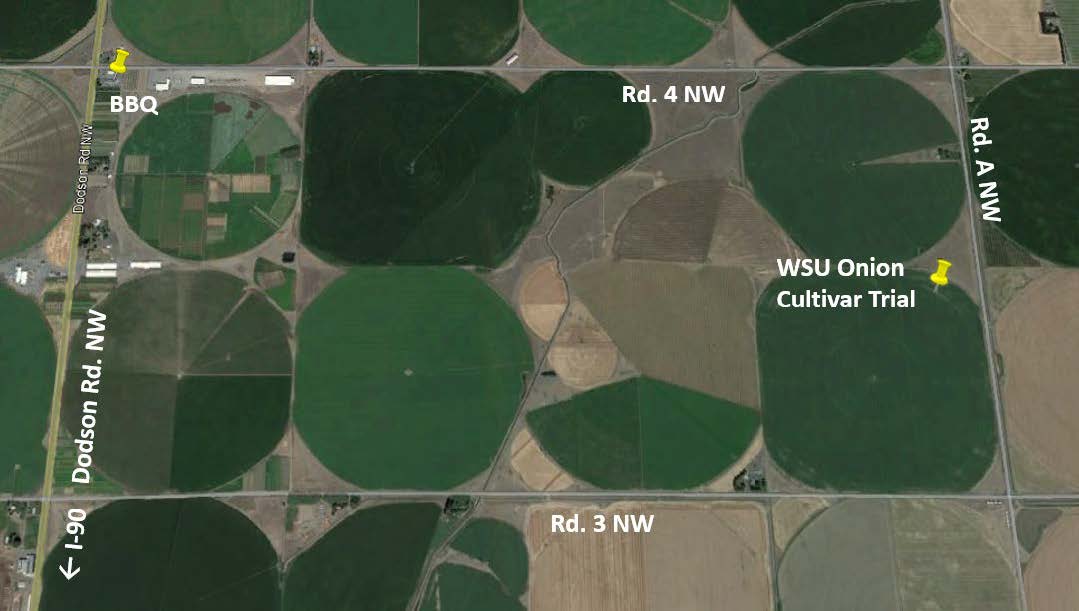 Onion Field Day | Grant County | Washington State University