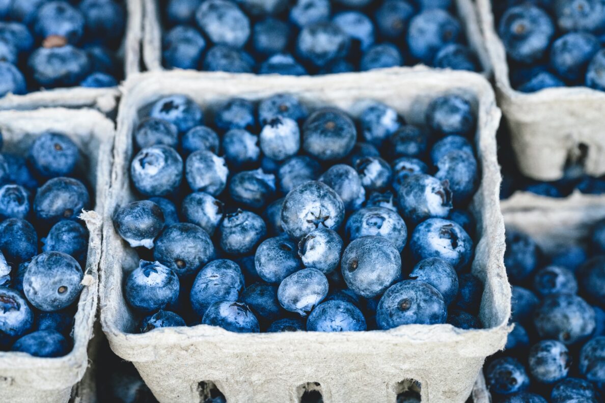 Preserving Blueberries | Pacific County | Washington State University
