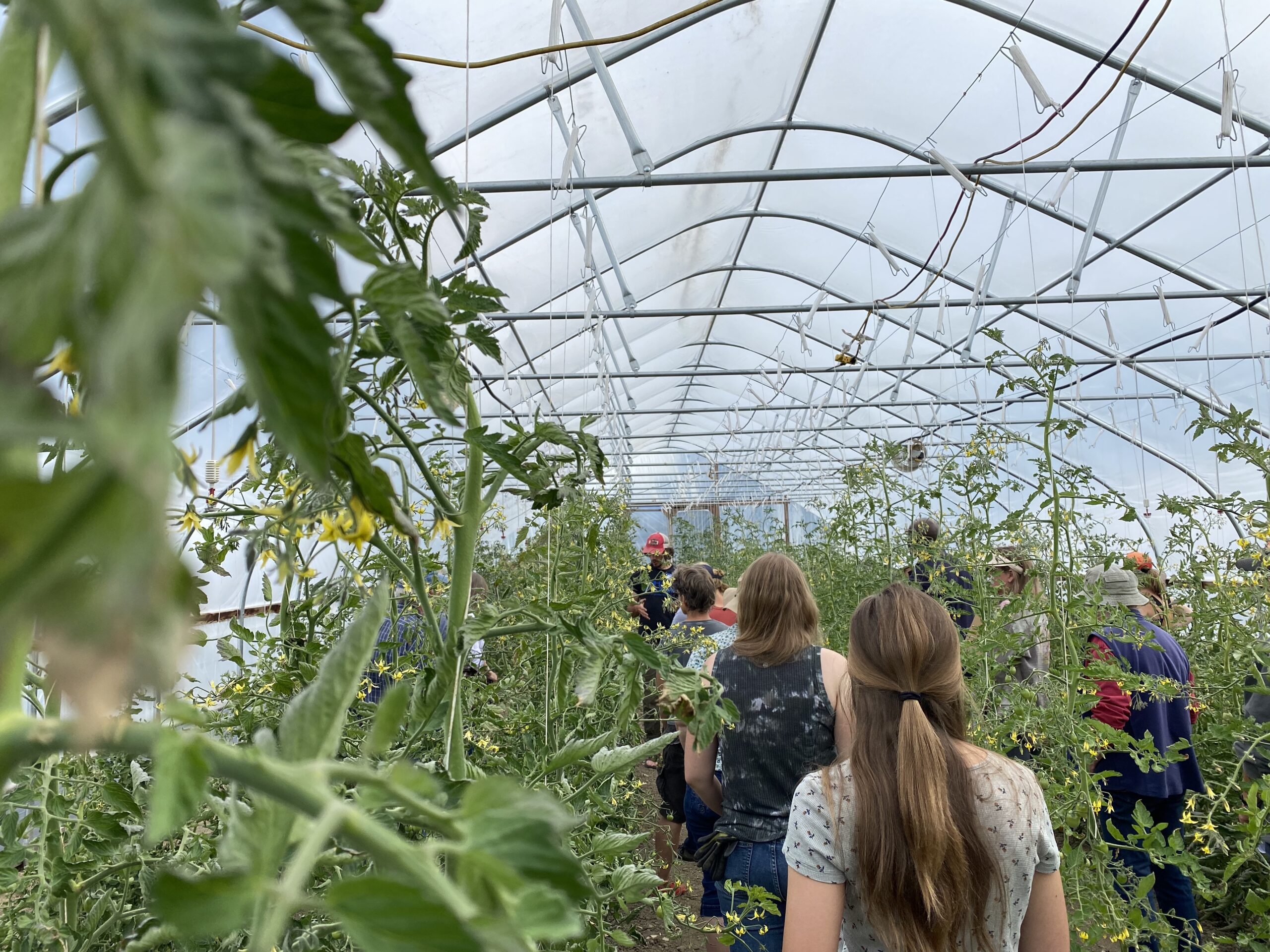 WSU Regional Small Farms Debuts Dirt Talk Farm Walks | Regional Small ...
