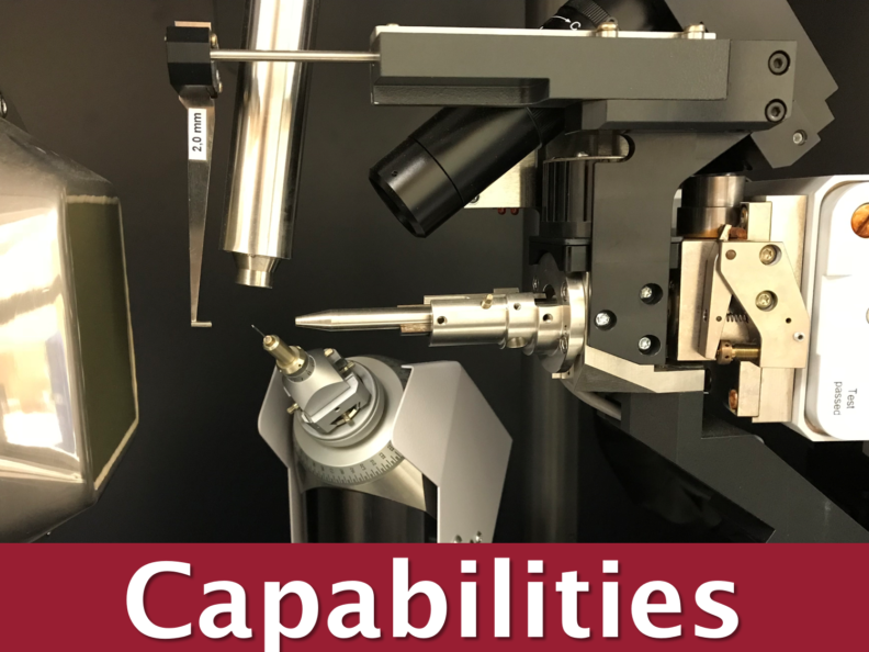 | Washington State University