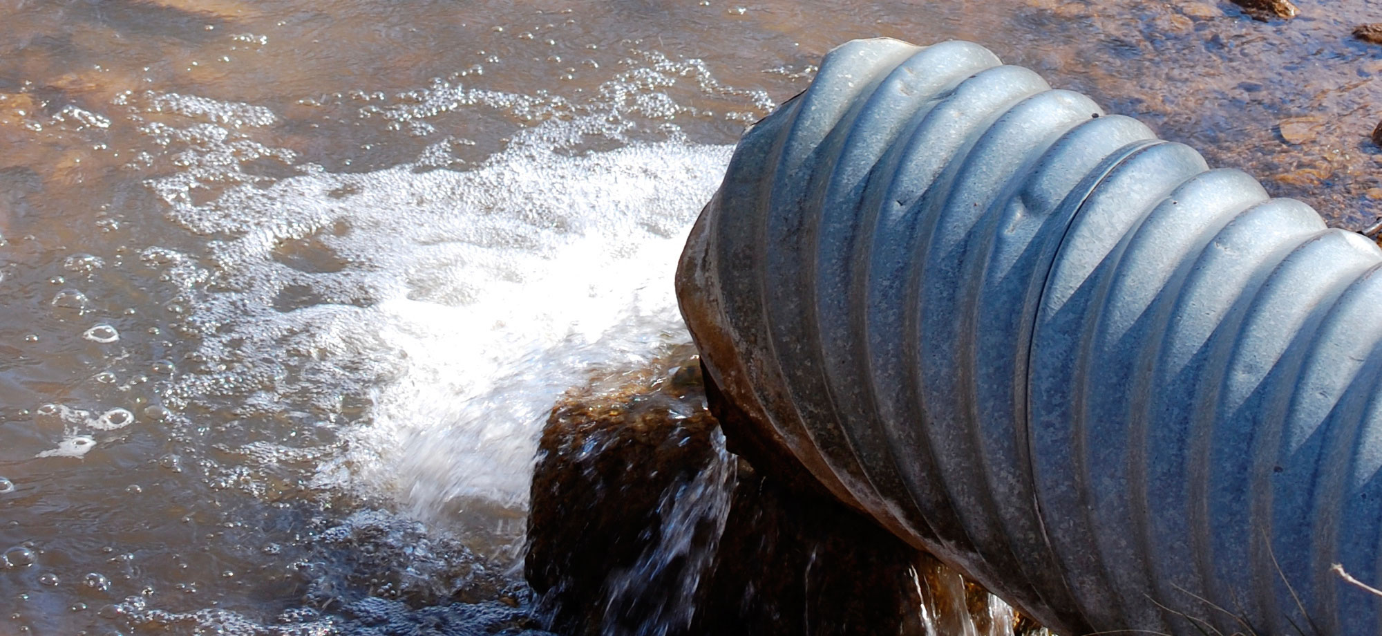 Guideline 4 – Managing Water Runoff | Shore Stewards | Washington State ...