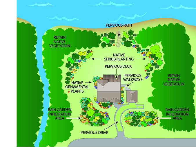 Designing with Nature | Shore Stewards | Washington State University