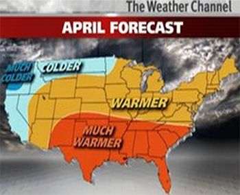 Stripe Rust Update, March 8, 2013 | Stripe Rust | Washington State University