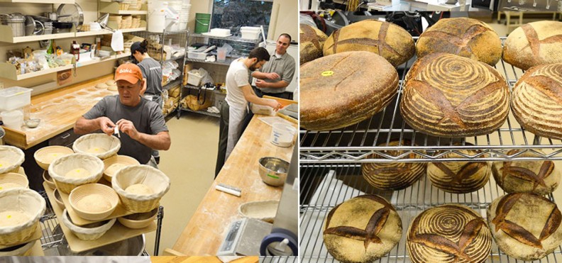 The Bread Lab | WSU Plant Breeding | Washington State University