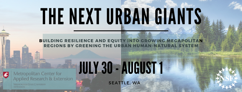 The Next Urban Giants – Building Resilience and Equity into Growing ...