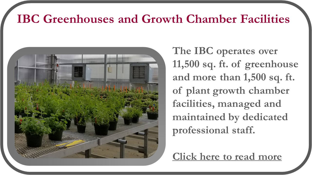 Facilities and Resources | Institute of Biological Chemistry ...