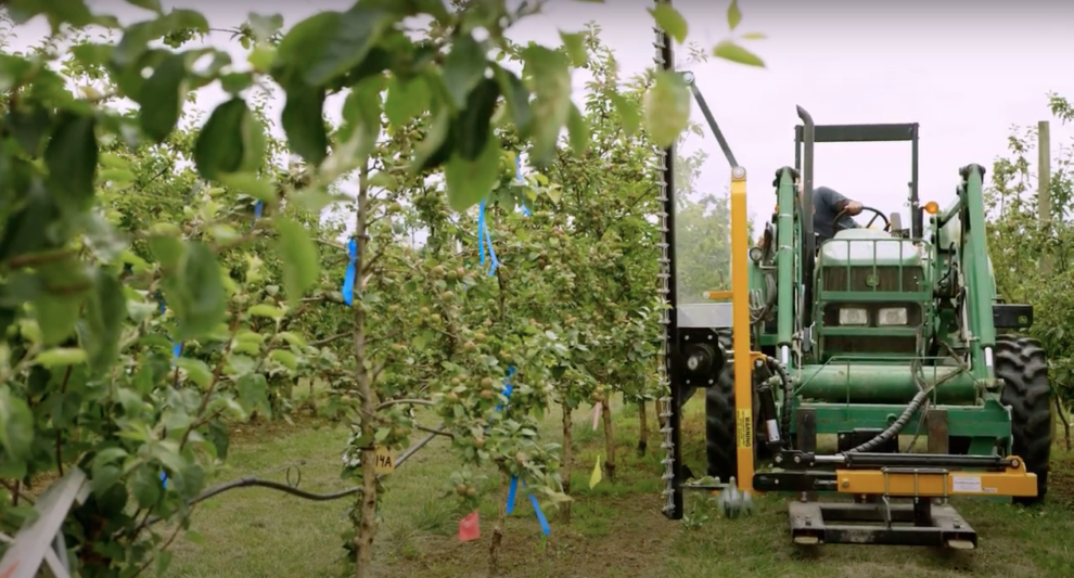 Mechanization of Production | WSU Cider | Washington State University