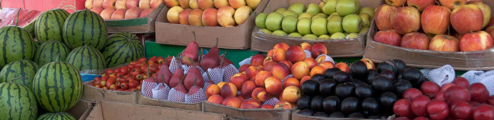 Specialty Crops | Integrated Pest Management | Washington State University