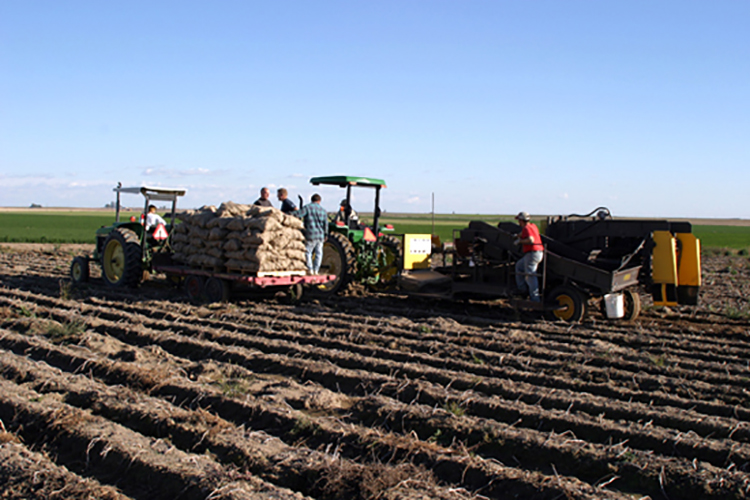 2018 Quarter 2 Newsletter | Integrated Pest Management | Washington ...