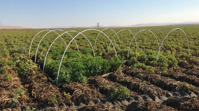 2019 Quarter 1 Newsletter | Integrated Pest Management | Washington ...