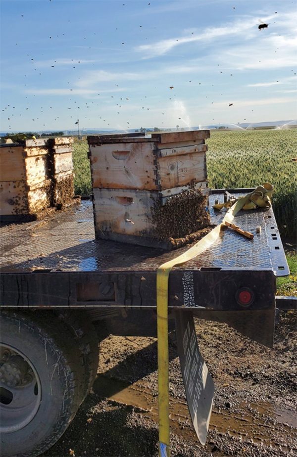 2023 Quarter 1 Newsletter | Integrated Pest Management | Washington ...