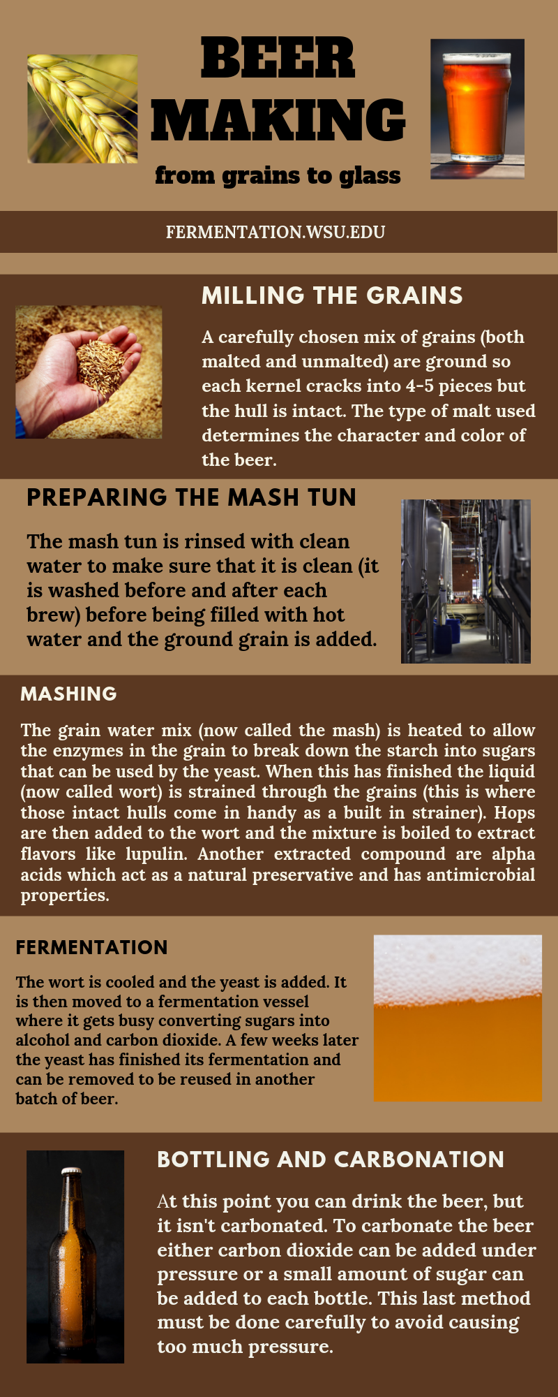 Beer | Fermentation | Washington State University