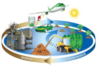 Understanding the Carbon Balance of Biofuel Production | Advanced ...