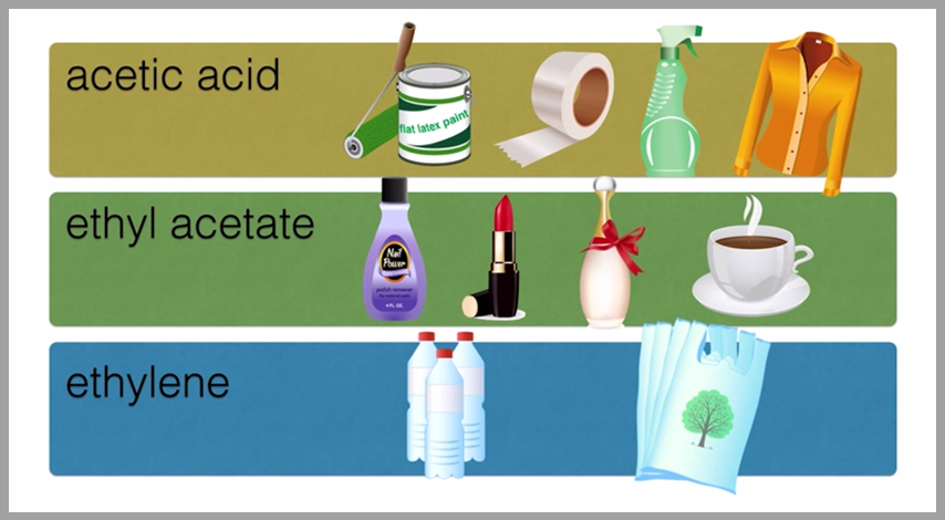 Everyday Products from Renewable Poplar Trees | Advanced Hardwood ...