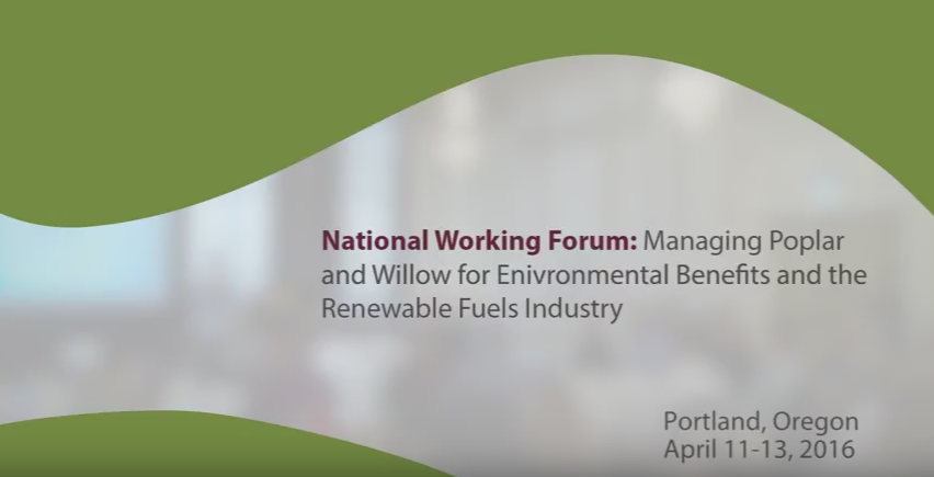 Poplar Willow Forum Overview | Advanced Hardwood Biofuels Northwest ...