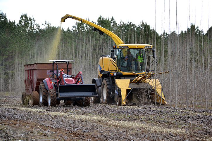 Harvesting | Advanced Hardwood Biofuels Northwest [Archived ...