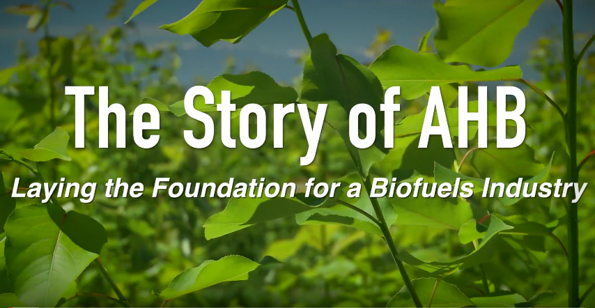 The Story of AHB: Laying the Foundation for a Biofuels Industry ...