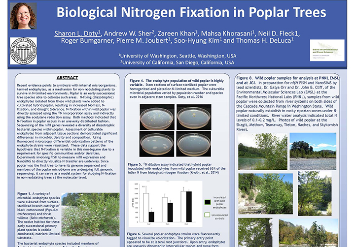 Biological Nitrogen Fixation in Poplar Trees | Advanced Hardwood ...