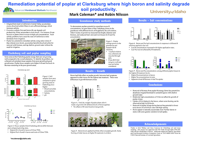 Remediation potential of poplar at Clarksburg where high boron and ...