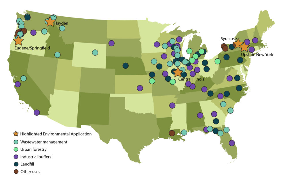 Roadmap for Poplar and Willow | Advanced Hardwood Biofuels Northwest ...