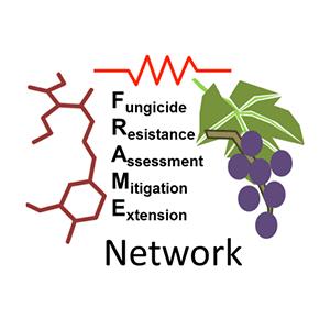 FRAME Networks | Washington State University
