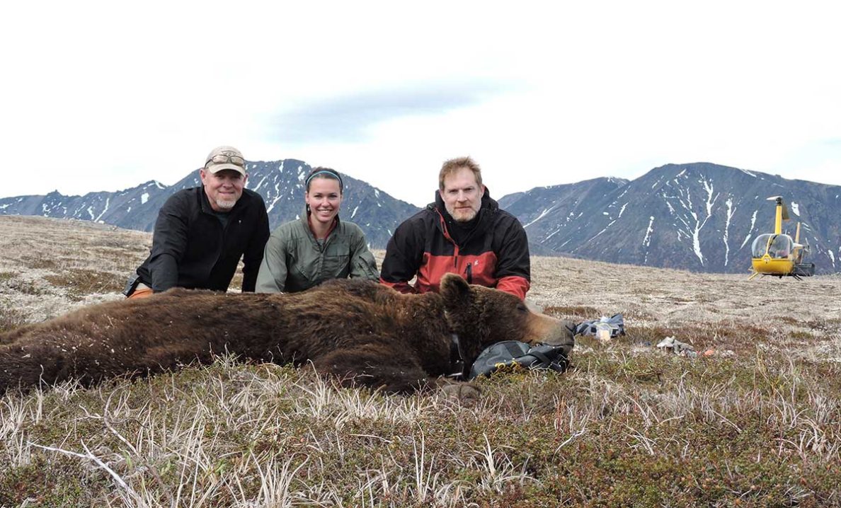 Research | WSU Bear Center | Washington State University