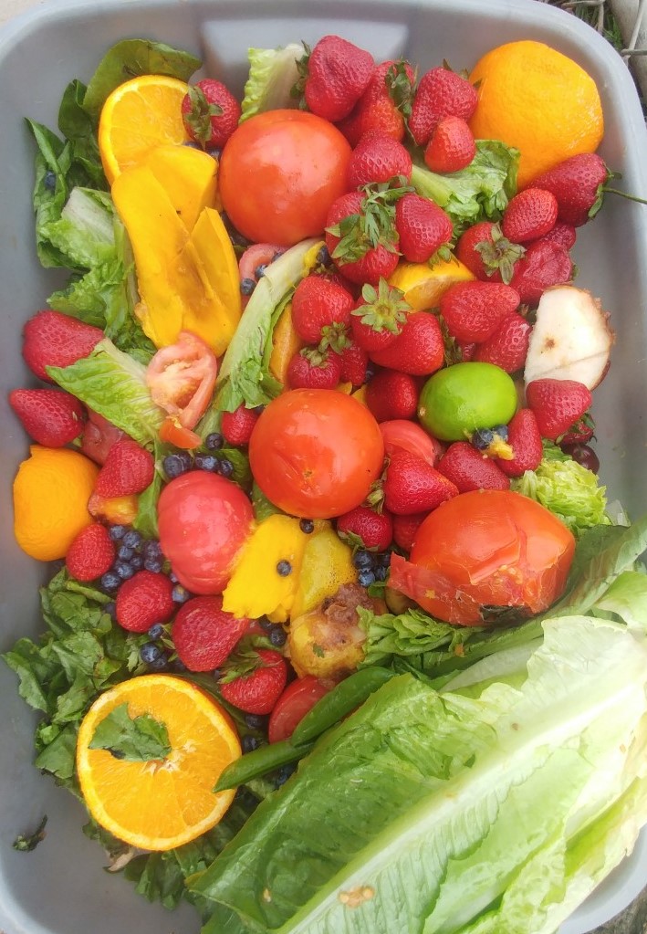 Volunteer Opportunities | WSU Bear Center | Washington State University