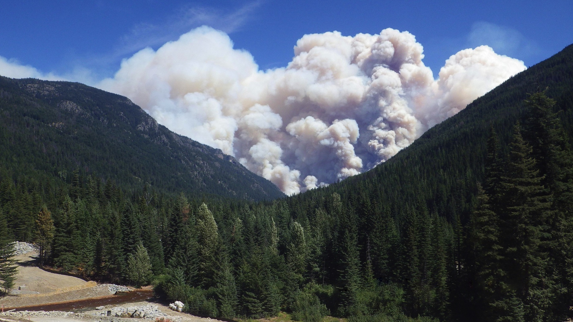 School of the Environment | Washington State University