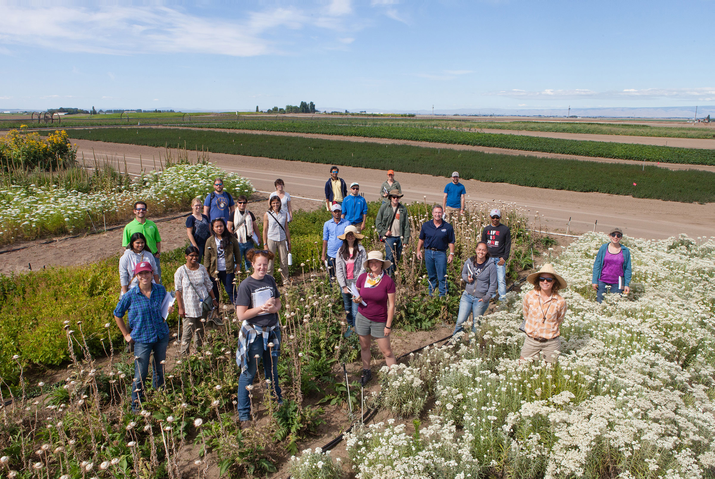 Department of Plant Pathology | Washington State University