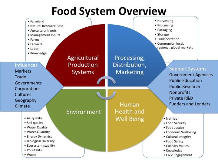 The Food System Food Systems Washington State University