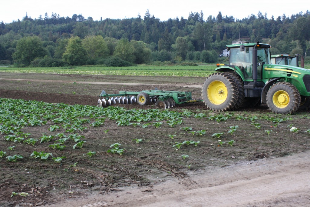 Equipment for Tilling and Cultivating | Food Systems | Washington State ...