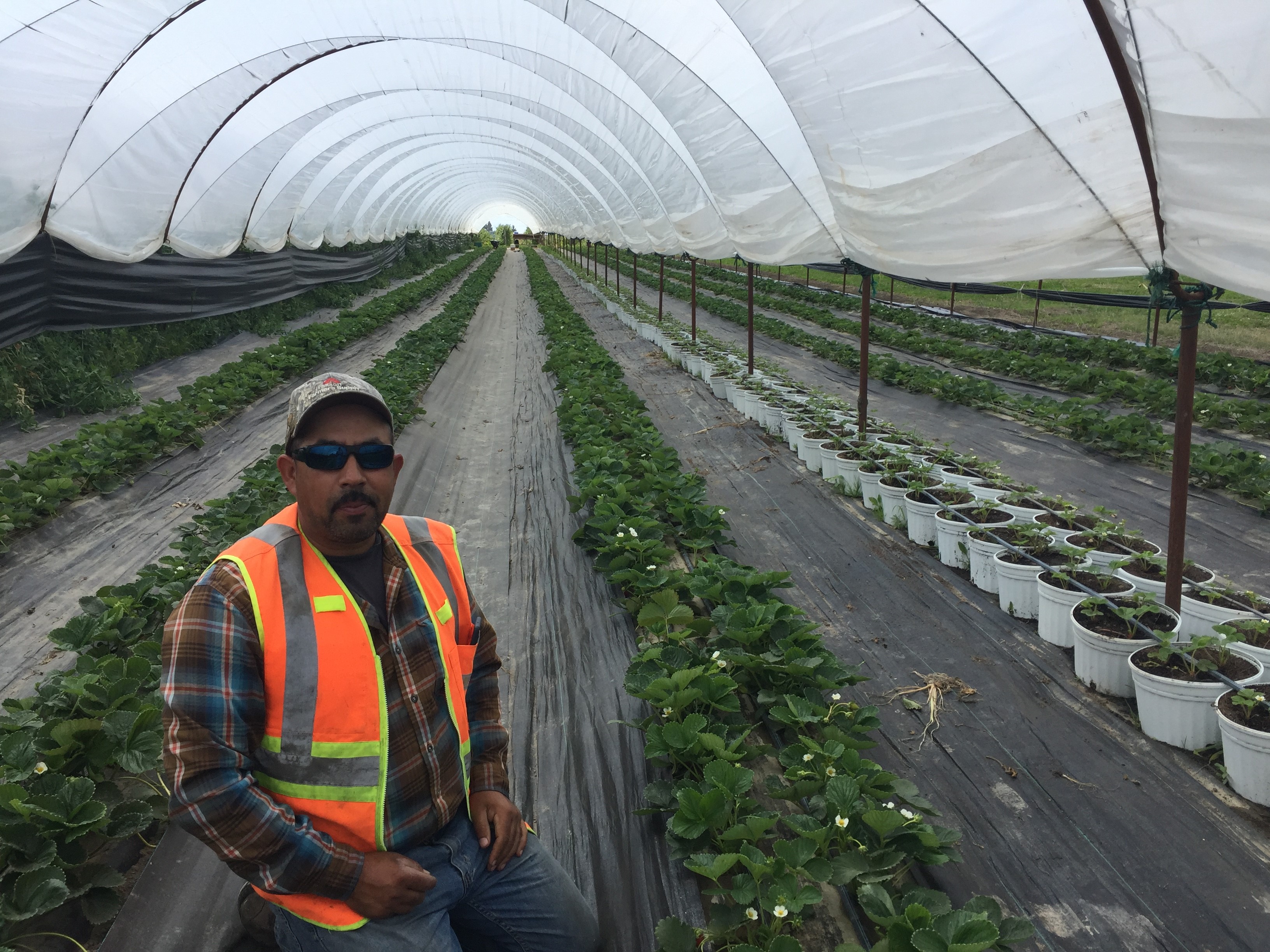 Week 5 – Integrated Pest & Weed Management | Food Systems | Washington ...