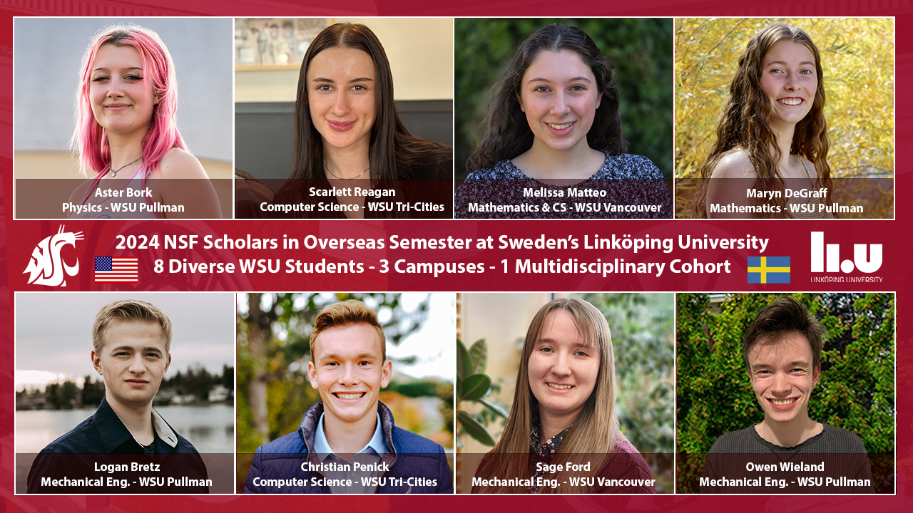 STARS: Student Training And Research Semesters | WSU Europe ...