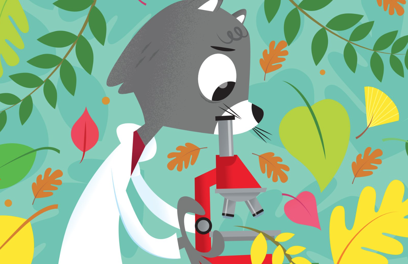 The Curiosity Corner | Ask Dr. Universe | Washington State University